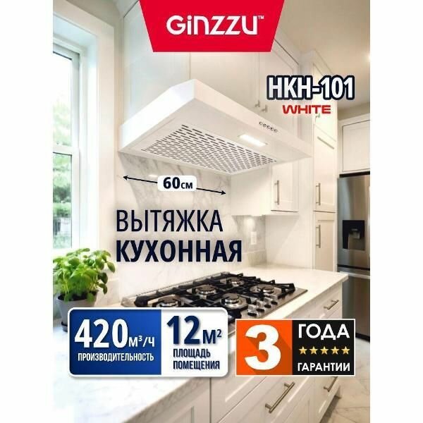 Вытяжка встраиваемая Ginzzu HKH-101