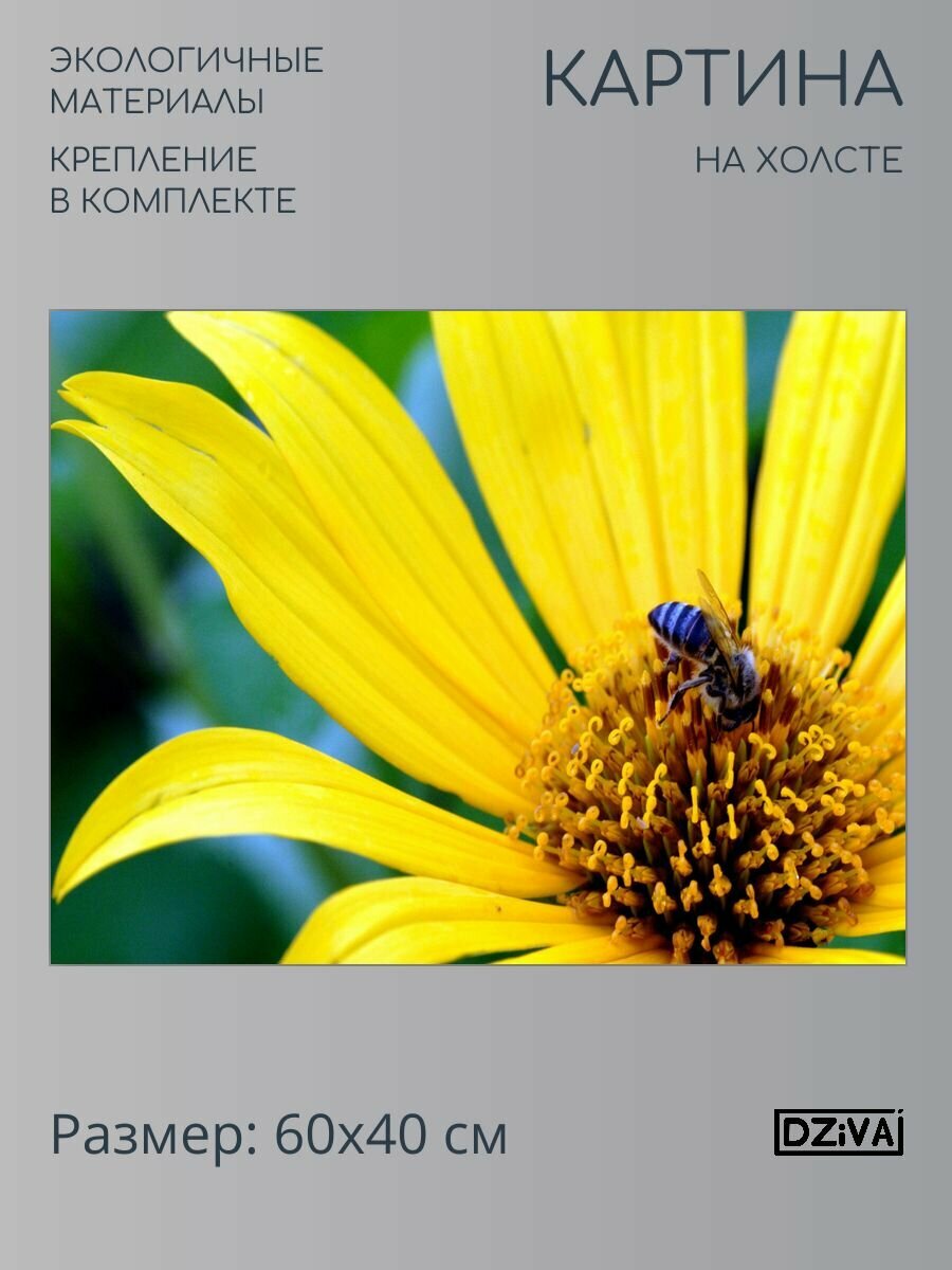 Картина на холсте Цветы 60x40 см