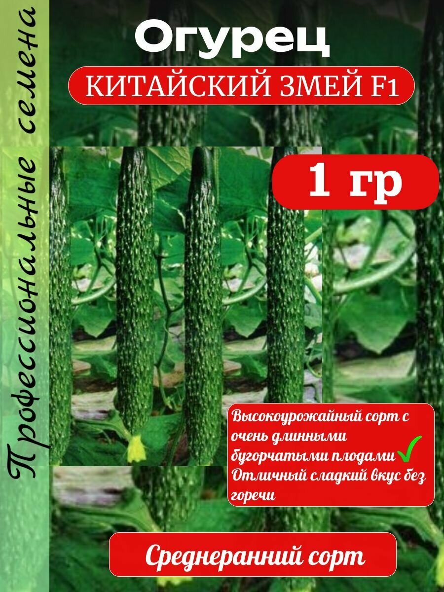 Семена Огурец Китайский змей F1 1гр