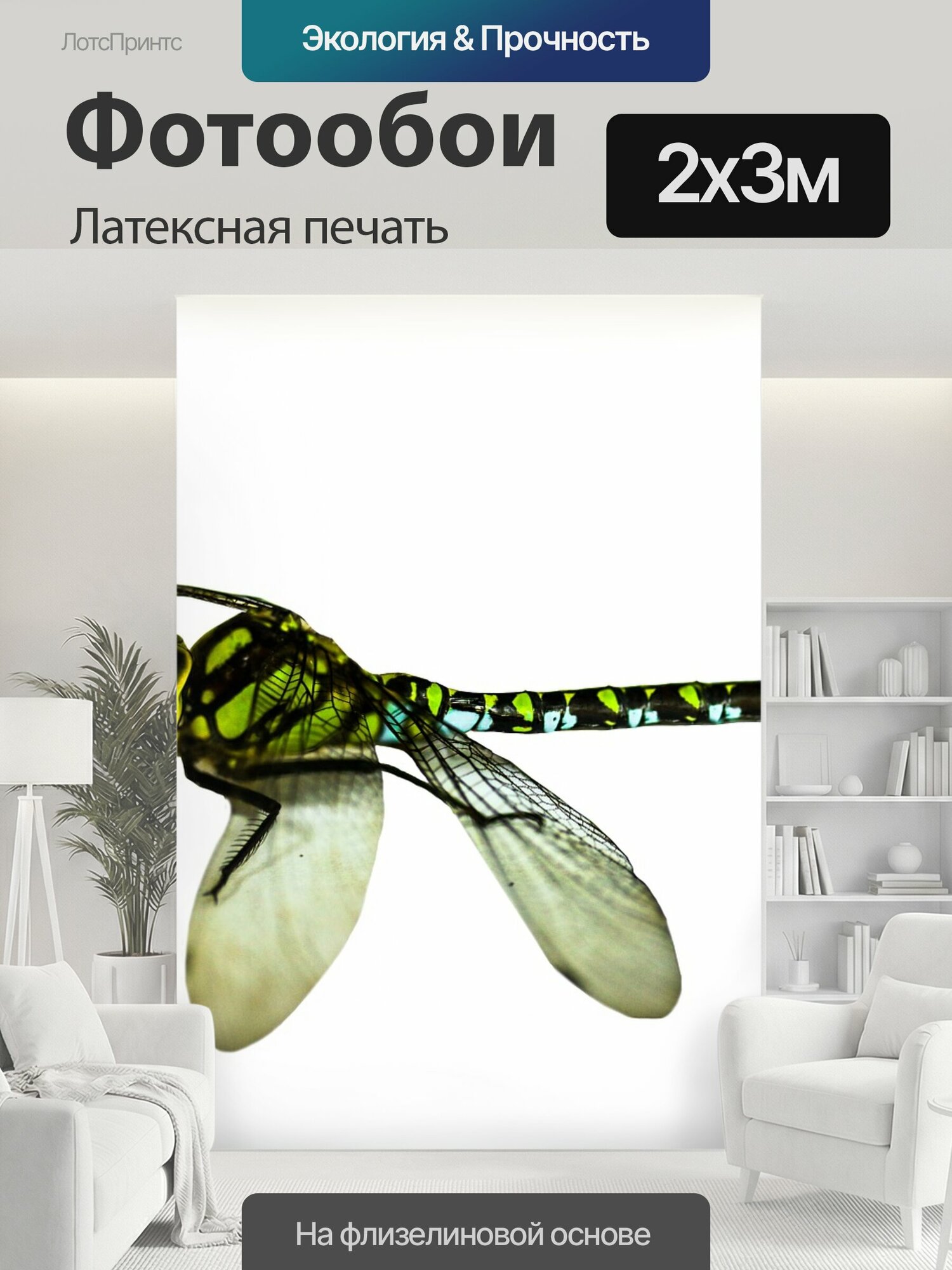 Фотообои моющиеся ударопрочные "Насекомое, стрекоза, закрывать" 200x300 см. латексная печать