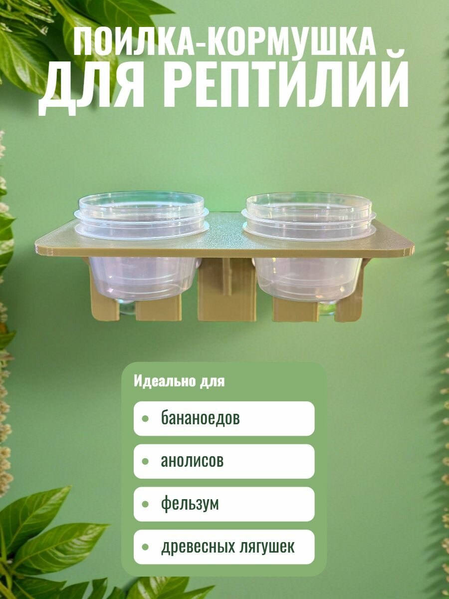 Поилка кормушка для террариума на присосках для гекконов