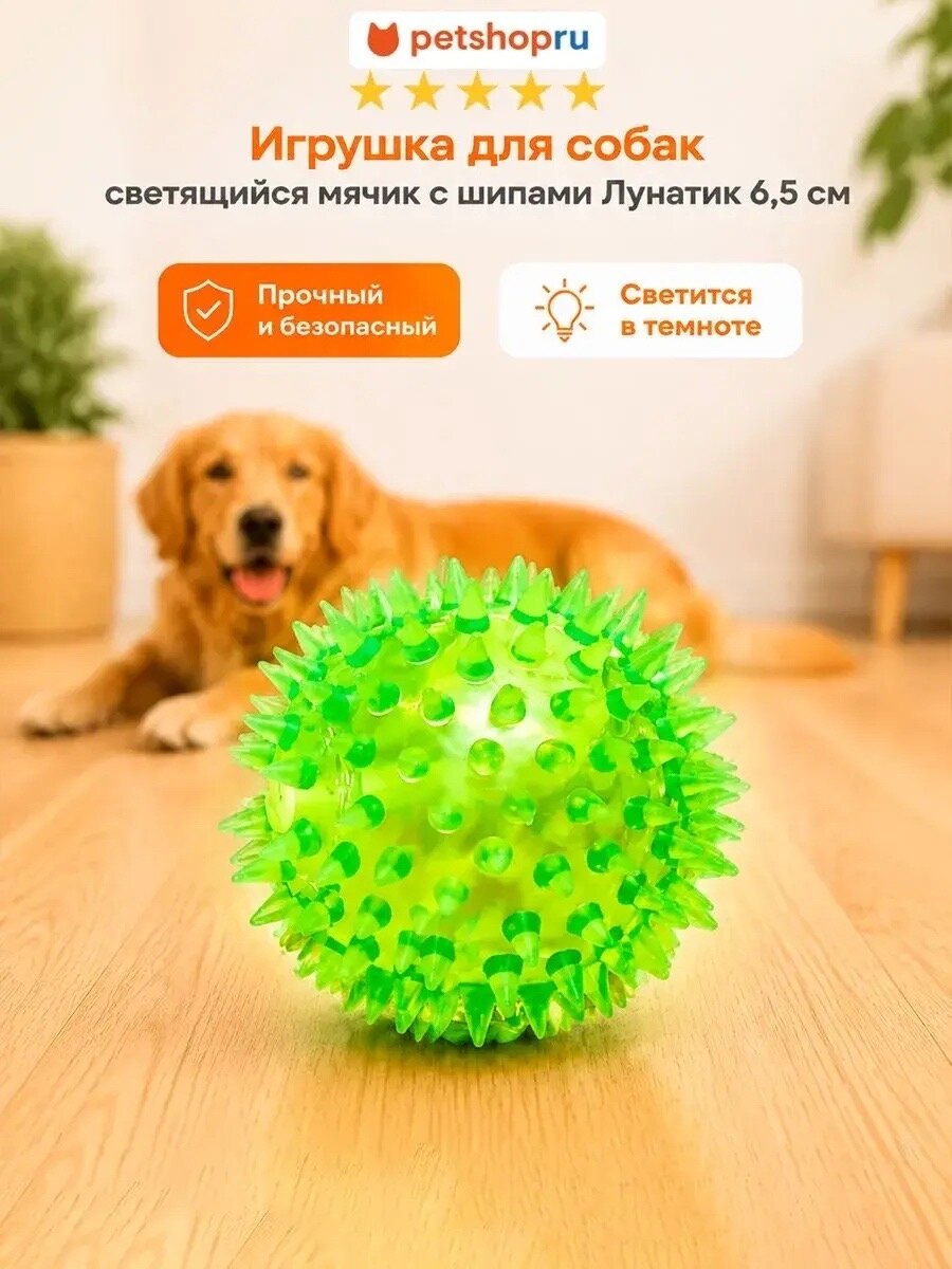 PETSHOP Игрушка для собак светящийся мячик с шипами "Лунатик" 6,5 см