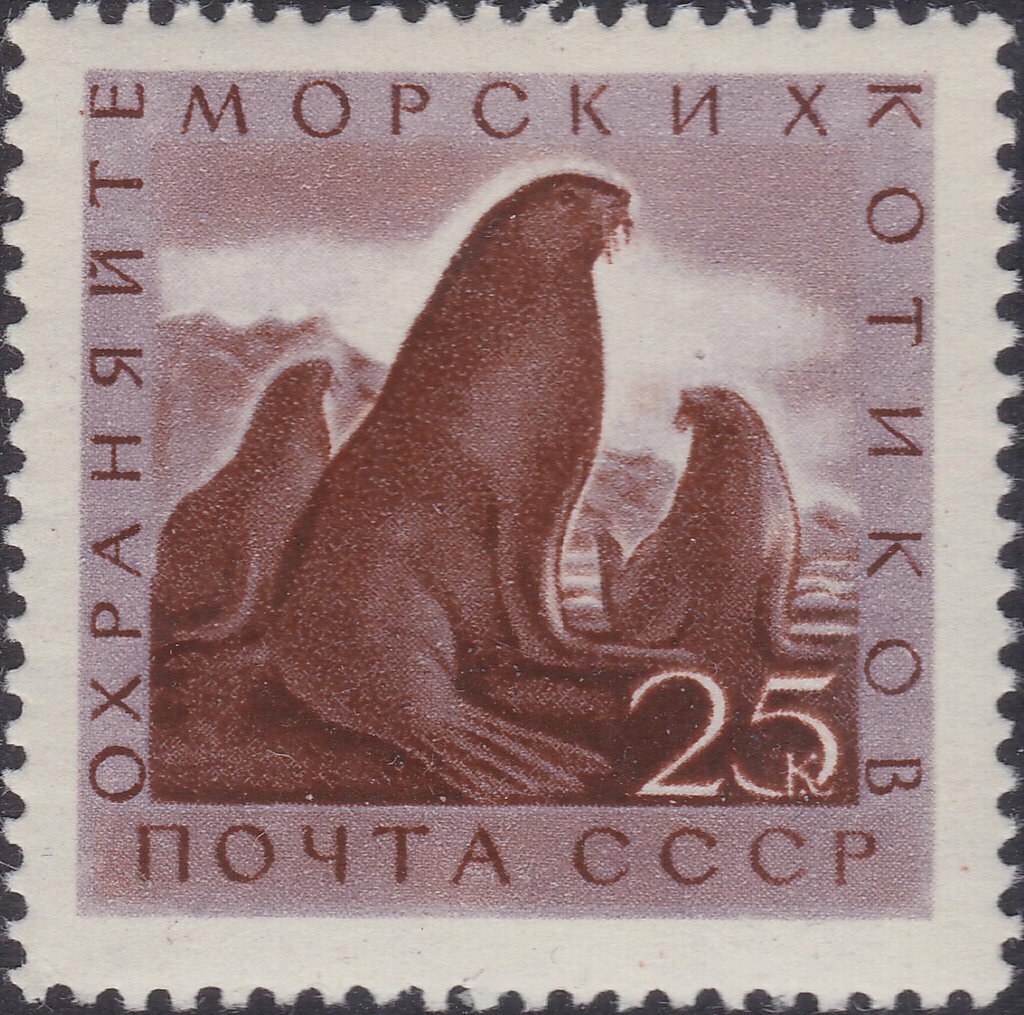 1960-078 Марка СССР Морские котики Фауна СССР. Охрана ценных рыб и морских животных II O
