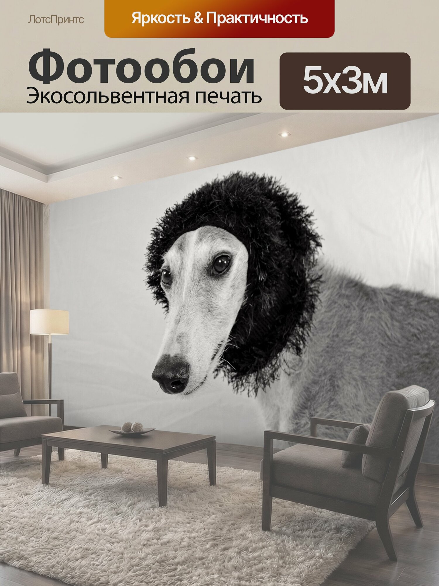 Фотообои "Собака, посмотреть, борзая" 500x300 см. экосольвентная печать