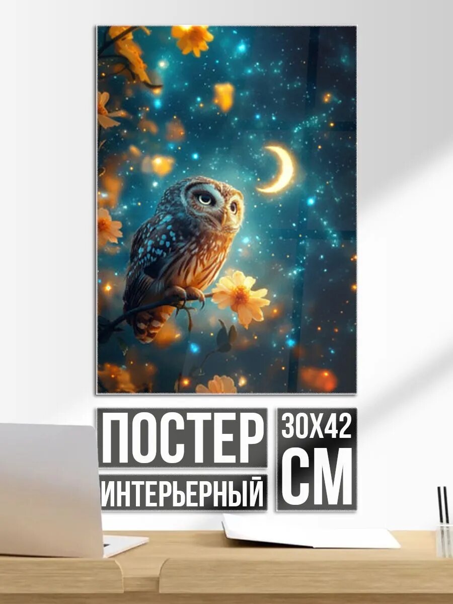 Постер на стену Сова смотрит на месяц