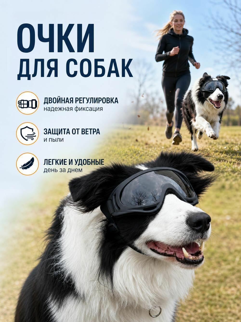 Очки для домашних собак