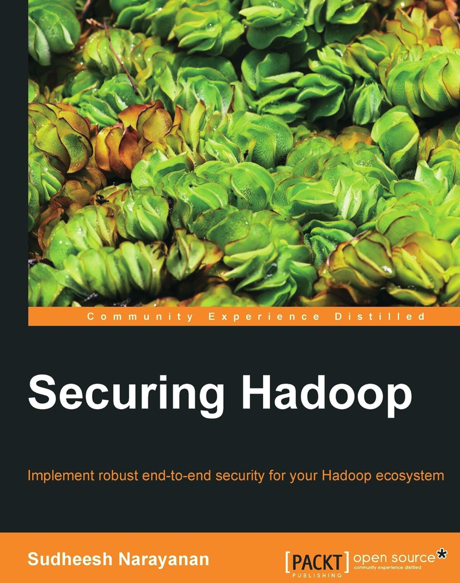 Securing Hadoop — фото 1