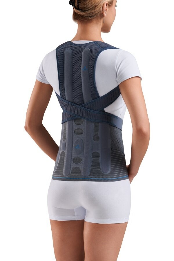 ORLETT Х0112050 Модуль грудопоясничный для BS-222 (1) Dorsal (Универсальный / Стандартная)