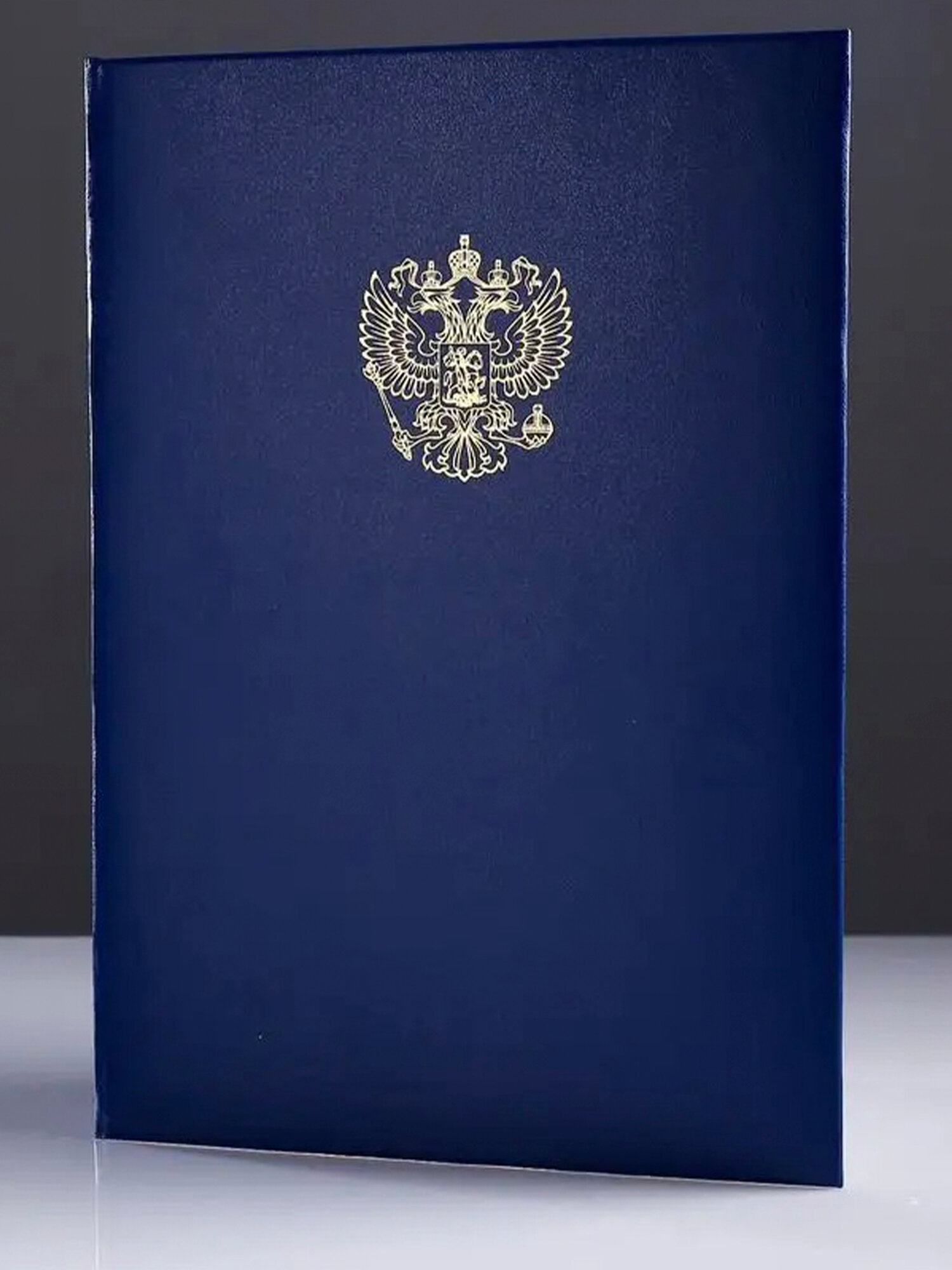 Папка адресная с гербом РФ, цвет синий, 210 х 297 мм