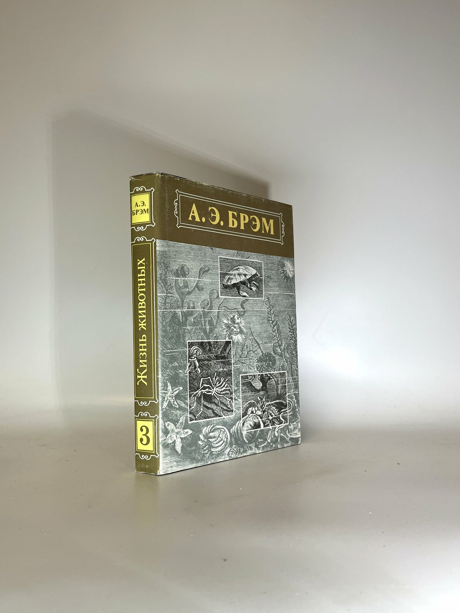 Жизнь животных. В трех томах. Том 3. А. Э. Брэм. Букинистические книги в отличном состоянии.