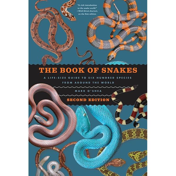 The Book of Snakes: A Life-Size Guide to Six Hundred Species from around the World，Reprinted paperback book