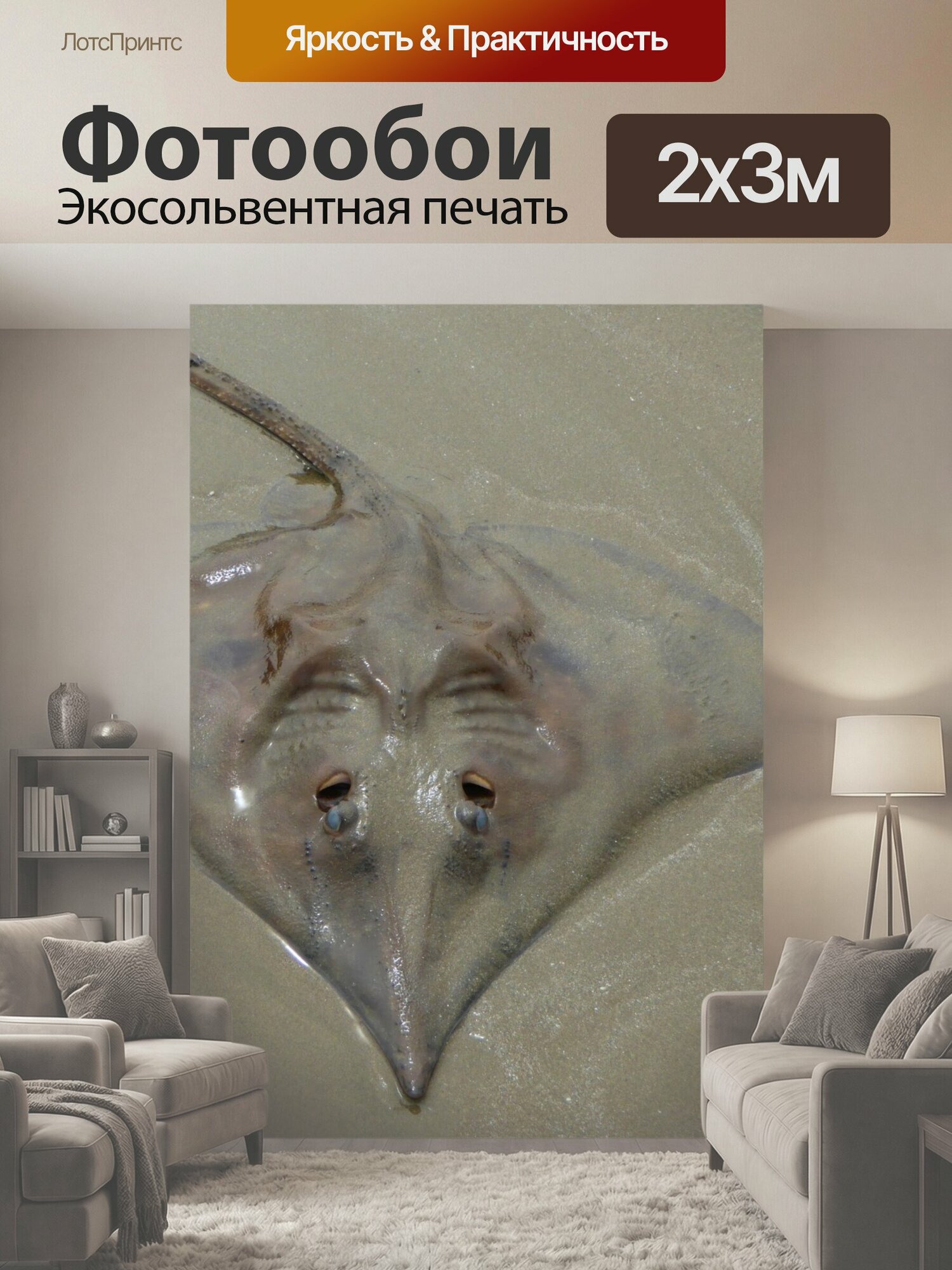 Фотообои "Stingray в песок близком расстоянии от ската на песчаном берегу во время отлива. Маленький парень был просто отлично! Следующая." 200x300 см. экосольвентная печать