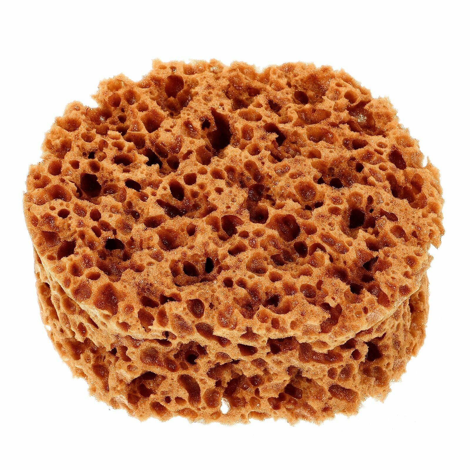 Натуральная Морская Губка Для Нанесения Акриловой Краски И Создания Текстур 15.00X12.00X7.00Cm