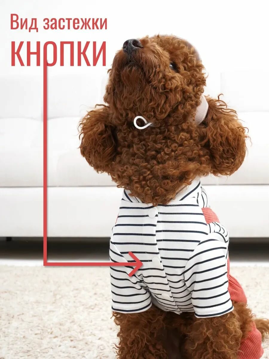 Одежда для собак комбинезон — фото 1