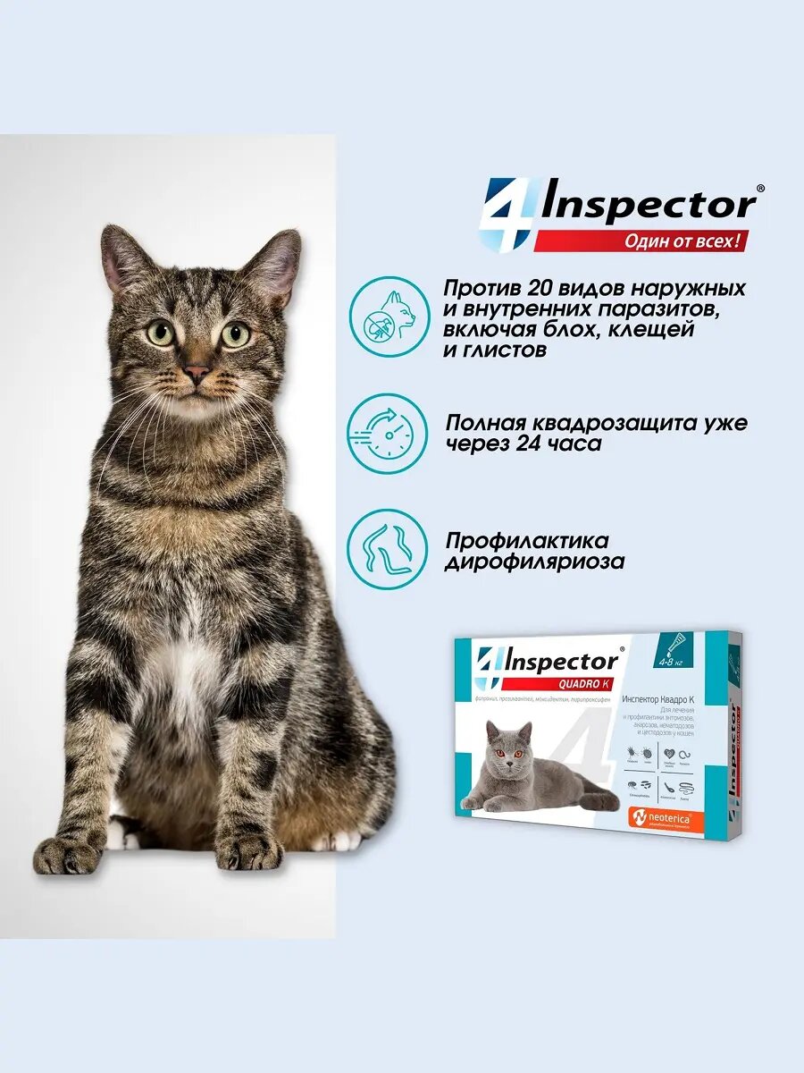 Inspector капли от блох и клещей для кошек 4-8 кг для нанесения на холку, 0,8 мл, 3 пипетки — фото 1