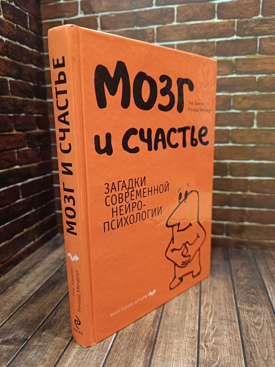 Мозг и счастье. Загадки современной нейропсихологии Хансон Рик, Мендиус Ричард 2011 год