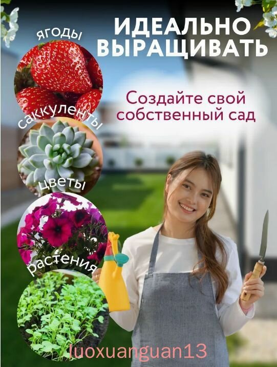 Грядка — фото 1