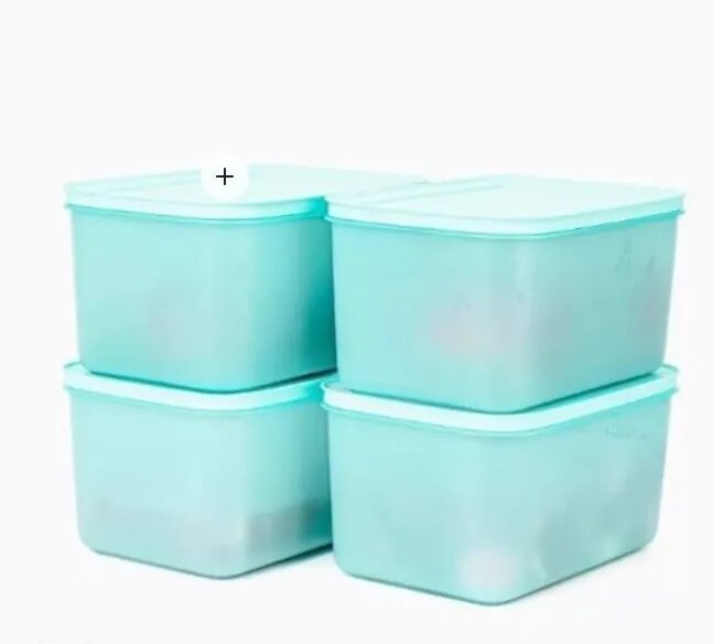 Tupperware Контейнер пищевой, 10000 мл, 4 шт