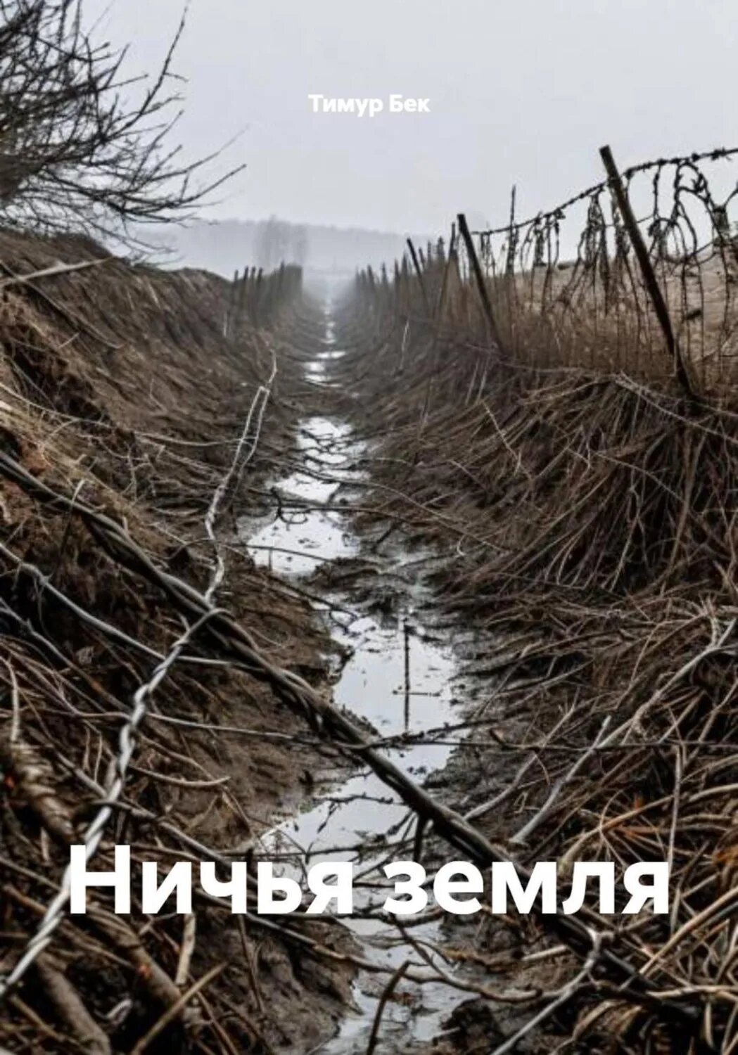 Ничья земля [Цифровая книга]