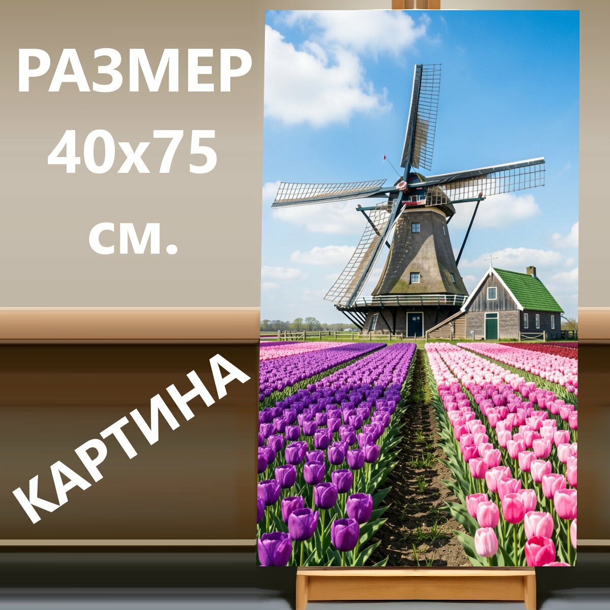 Картина на холсте "Голландская мельница среди тюльпанов. Живописная сельская панорама с ветряной мельницей и аккуратными рядами цветущих." на подрамнике 75х40 см. для интерьера