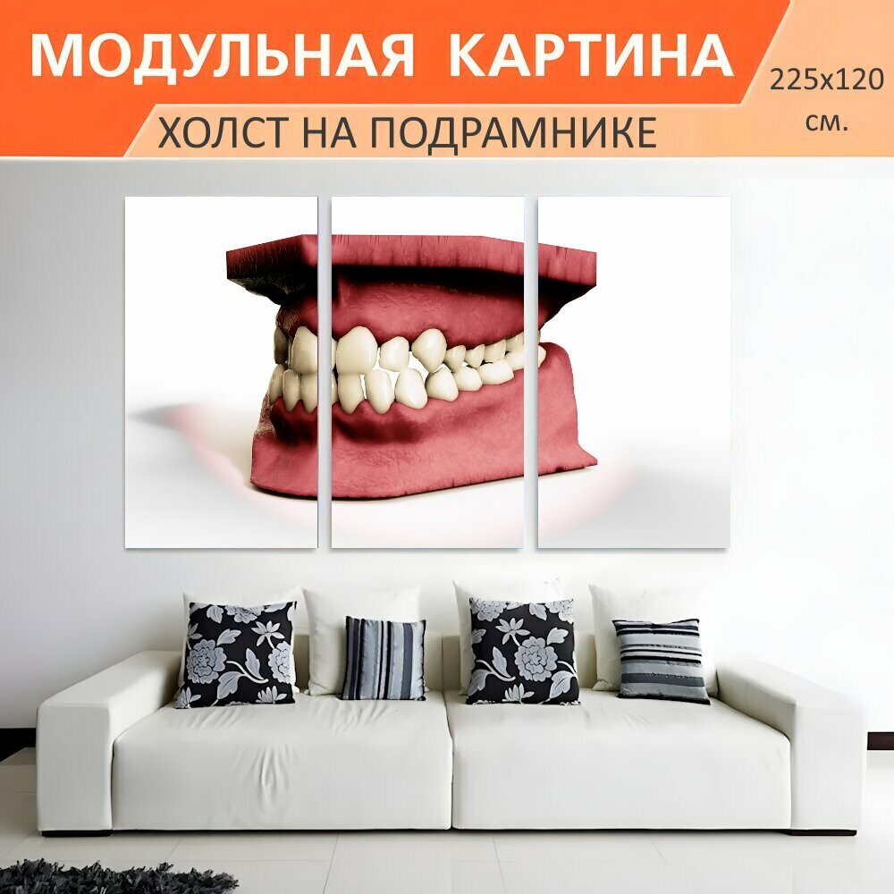 Модульная картина на холсте "Зубы, челюсть, 3d-модель" триптих на подрамнике 225х120 см. для интерьера