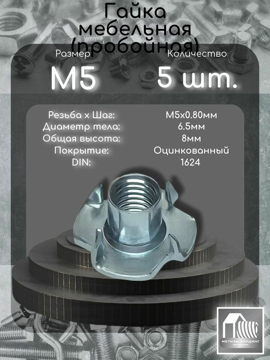 Гайка М5 мебельная врезная (пробойная, усовая) DIN1624, оцинкованная, 5 шт.