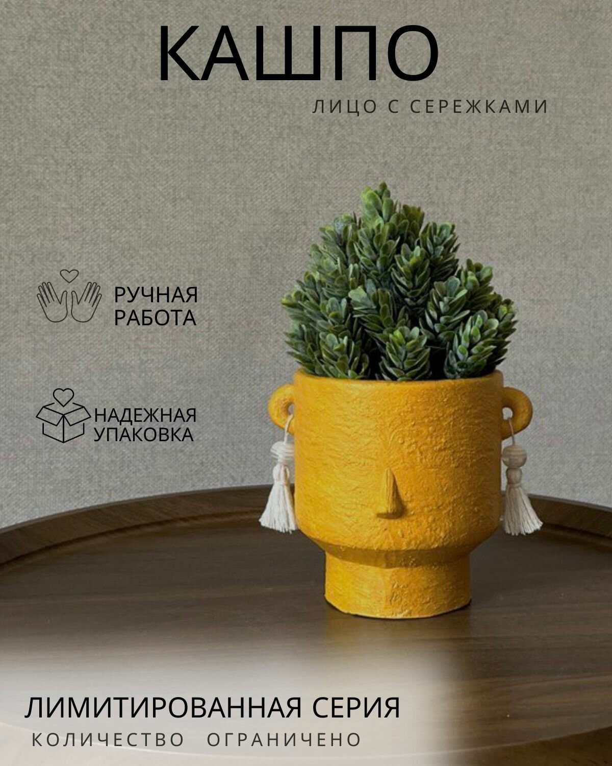 Декоративное кашпо Лицо для суккулентов