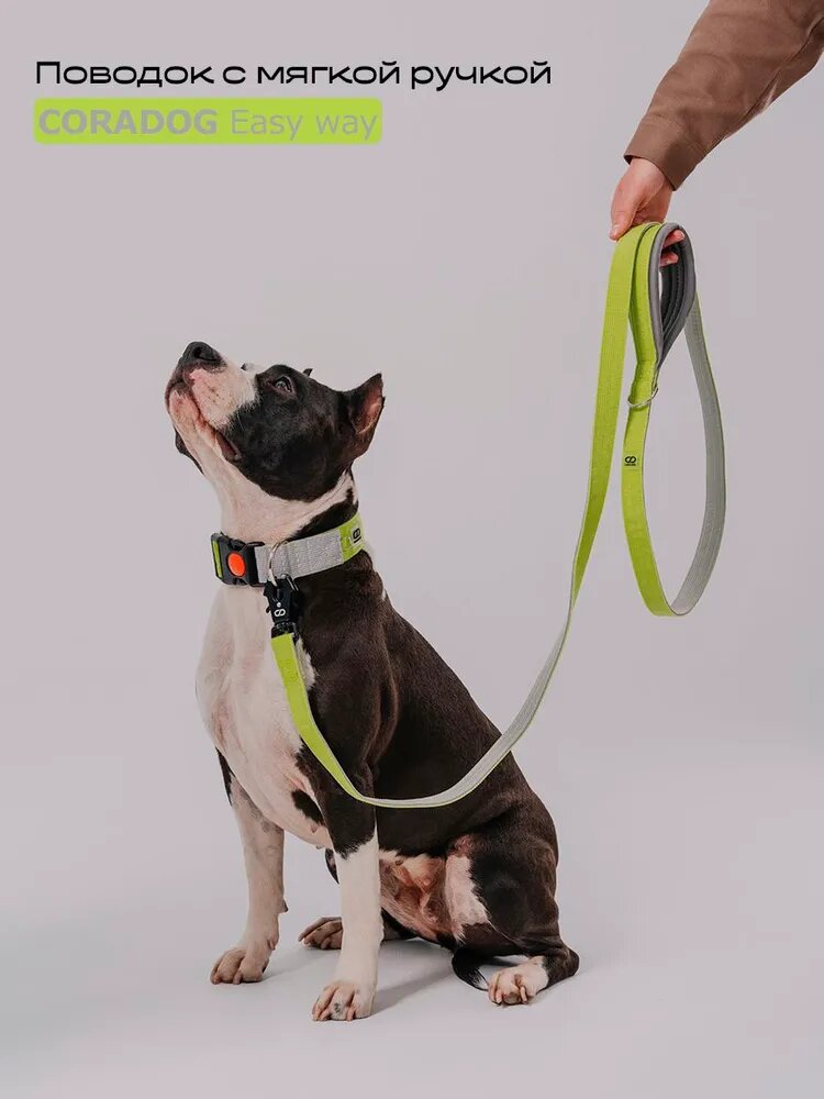 Поводок CORADOG Easy way c мягкой ручкой и карабином самозахватом Frog , длина 2 м, для средних пород собак цвет салатовый, серый