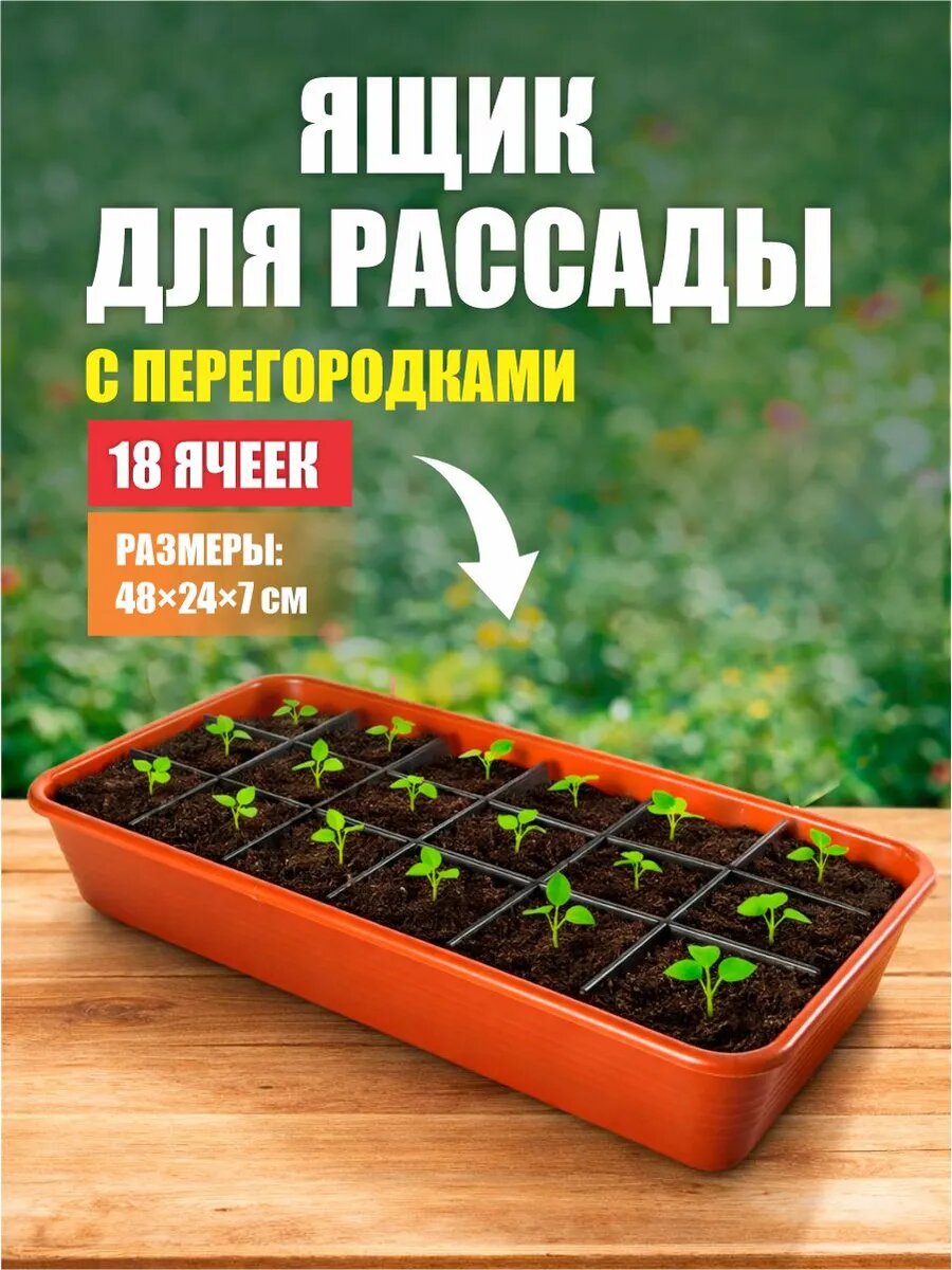 Ящик для рассады с ячейками 480*240*70