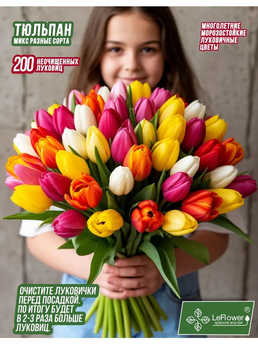 Луковицы тюльпана многолетние цветы микс 200шт.