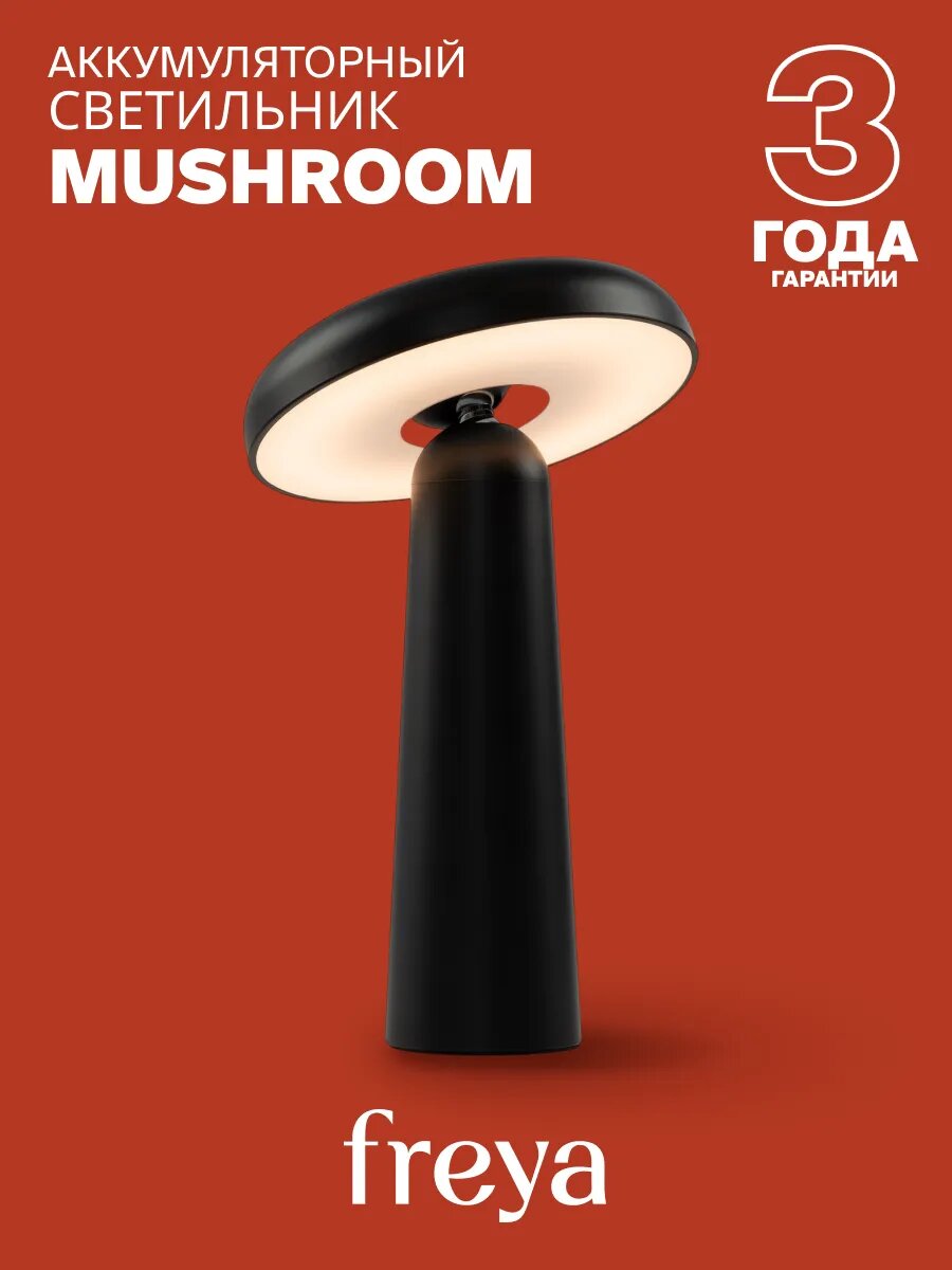 Аккумуляторный светильник Freya FR6109TL-L4B Цоколь LED, 4W, IP 20