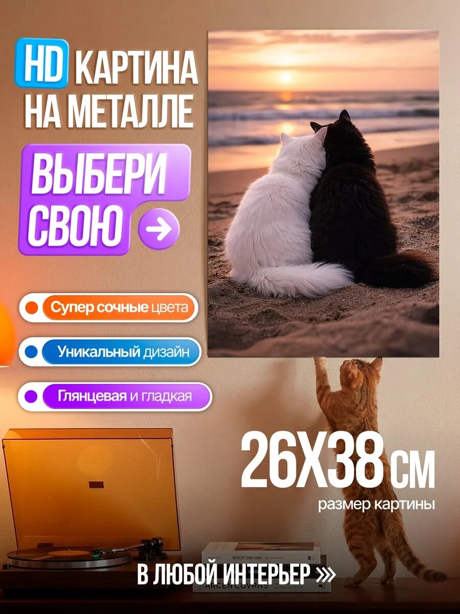 Картина на HD металле Черно-белые коты