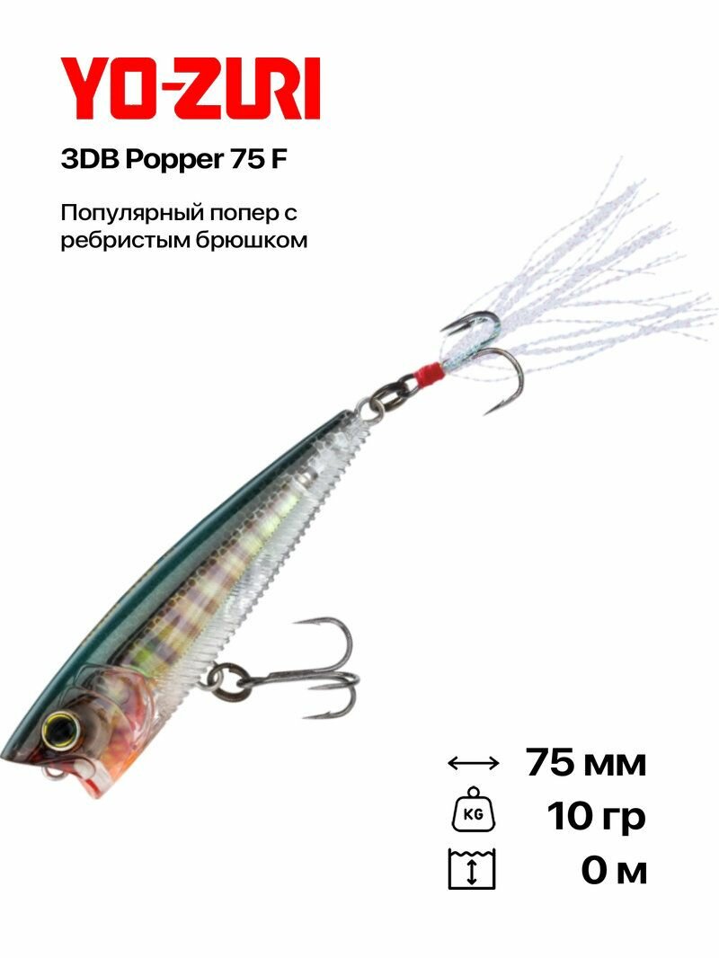 Поппер Yo-Zuri 3DB Popper 75 мм, 10 гр, #RBG