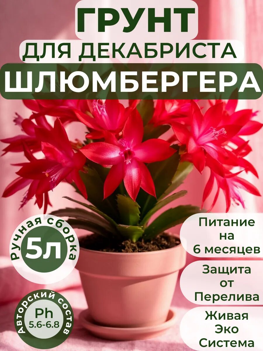 Готовый авторский грунт для Декабриста Шлюмбергера,5 л