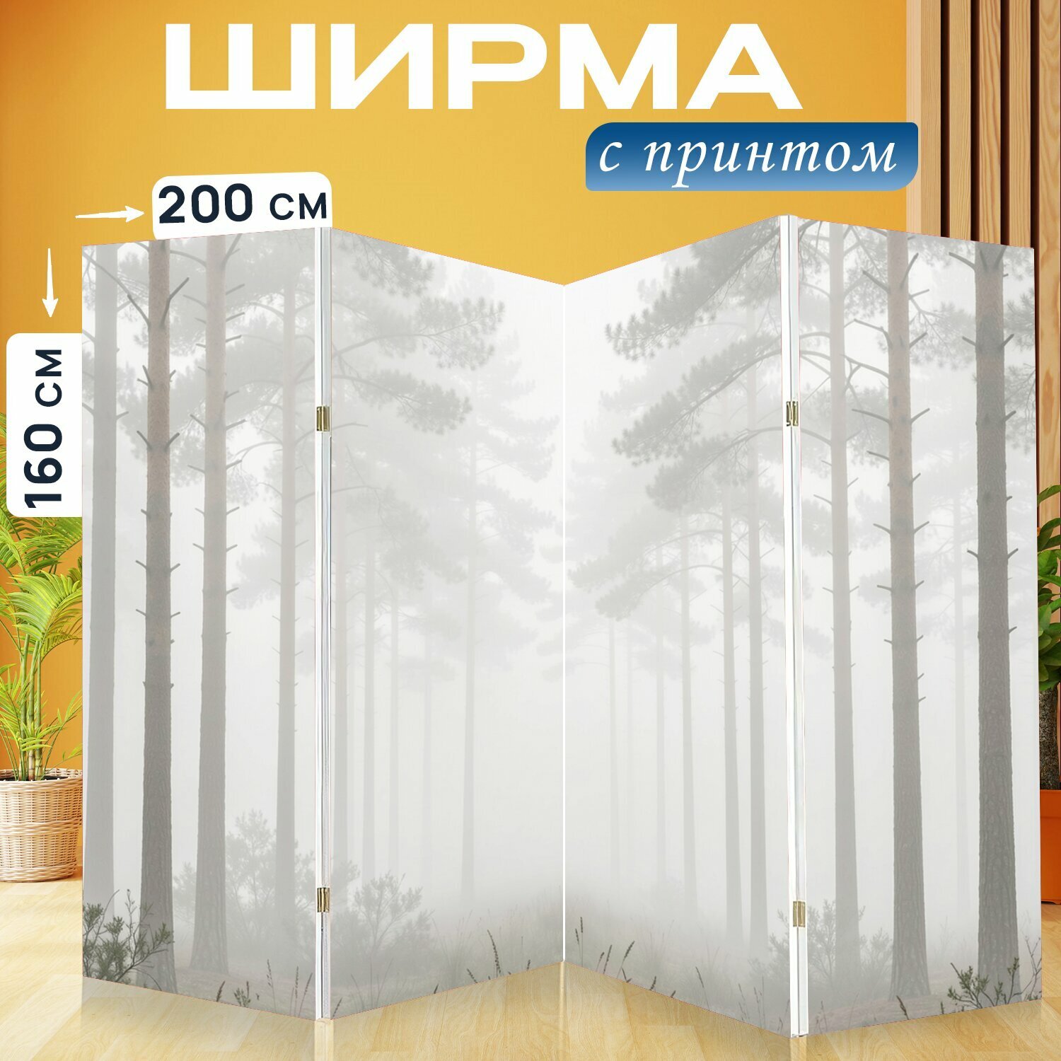 Ширма "Туманный сосновый лес. Светлый лесной массив в густом тумане, высокие стройные стволы и мягкие силуэты." перегородка для зонирования комнаты с принтом 200x160 см. на холсте