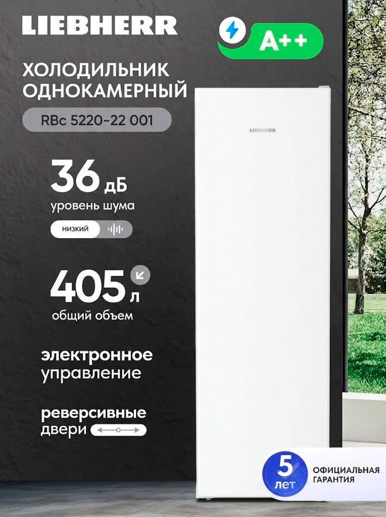 Однокамерный холодильник Liebherr RBc 5220-22 001 BioFresh, белый