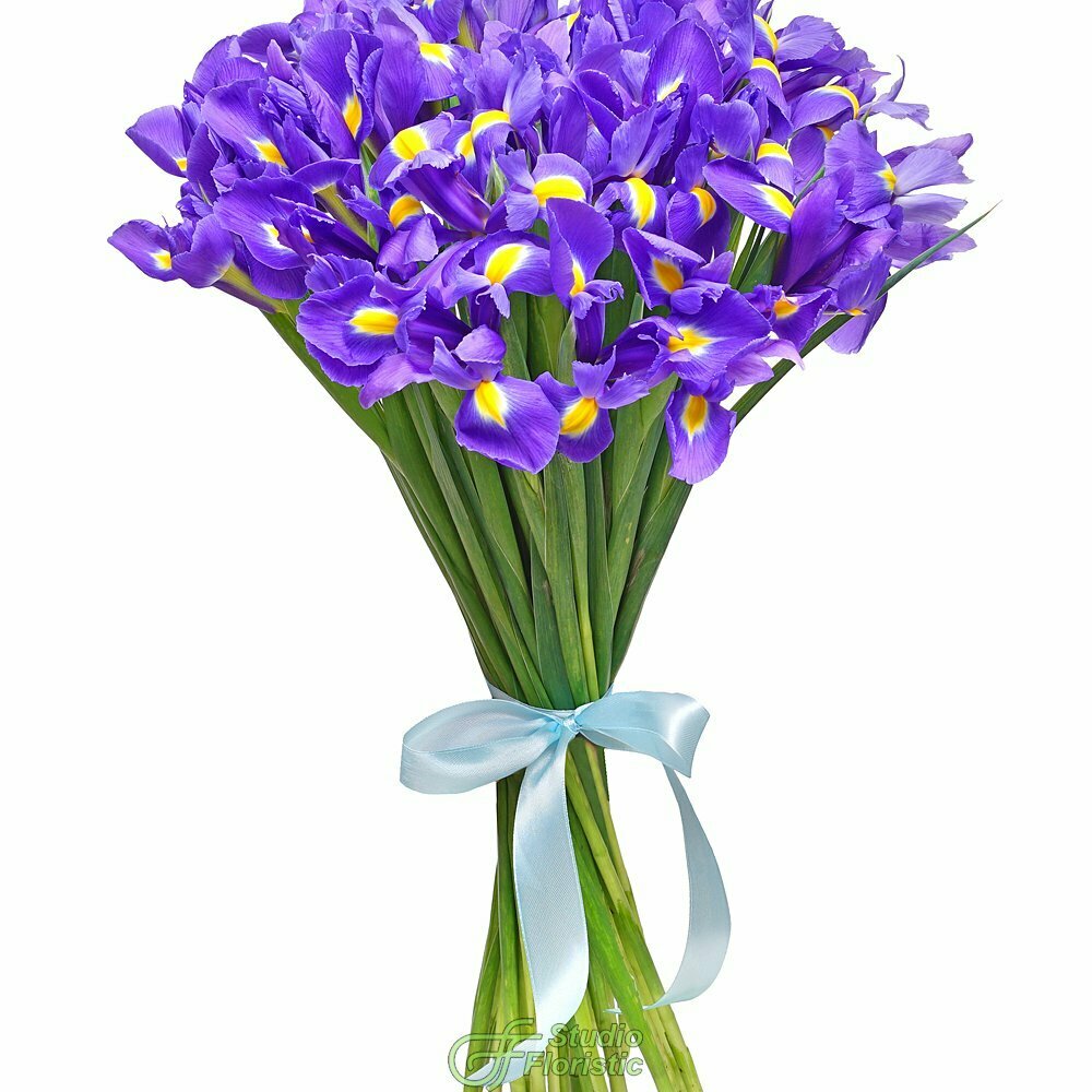 Монобукет STUDIO FLORISTIC "Ириска", ирисы, высота 40см, синий — фото 1