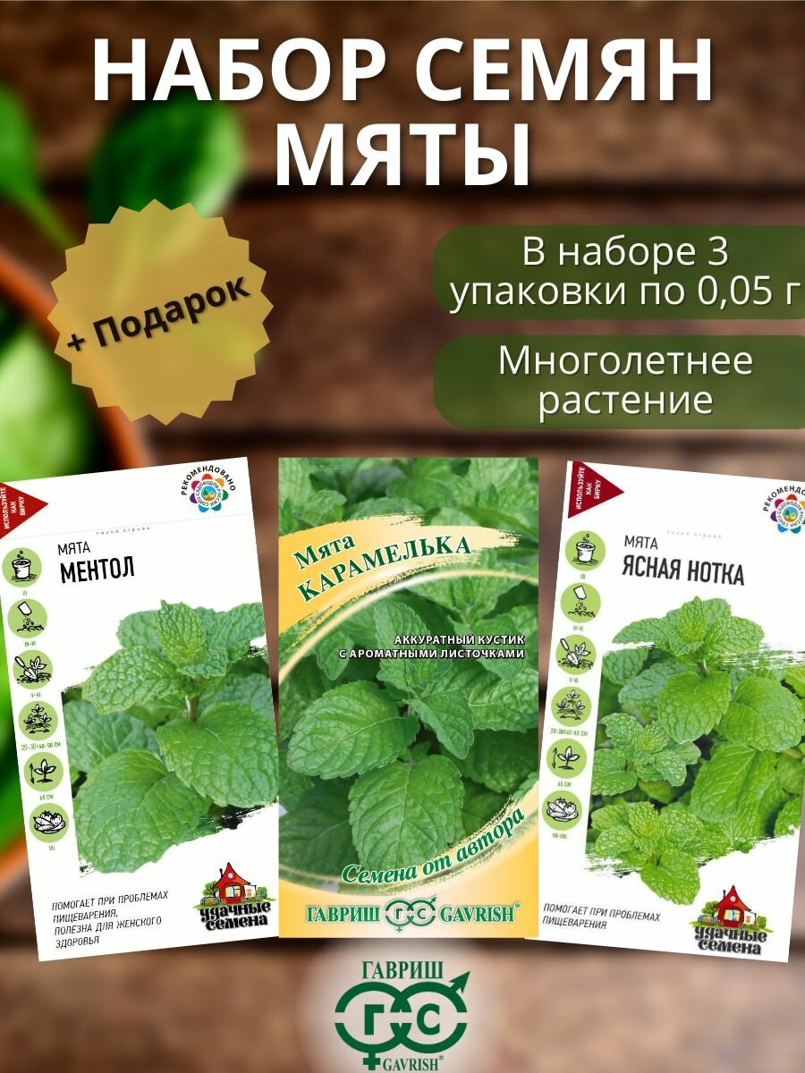 Семена мяты многолетней перечной Ментол Ясная нотка мента многолетняя семена мяты