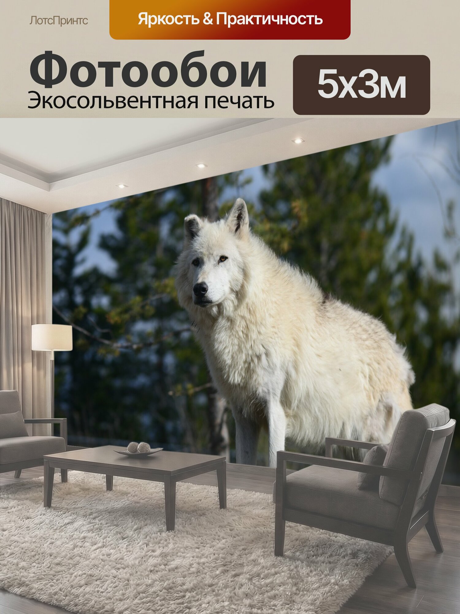 Фотообои "Волк, canis волчанка, йеллоустонский национальный парк" 500x300 см. экосольвентная печать