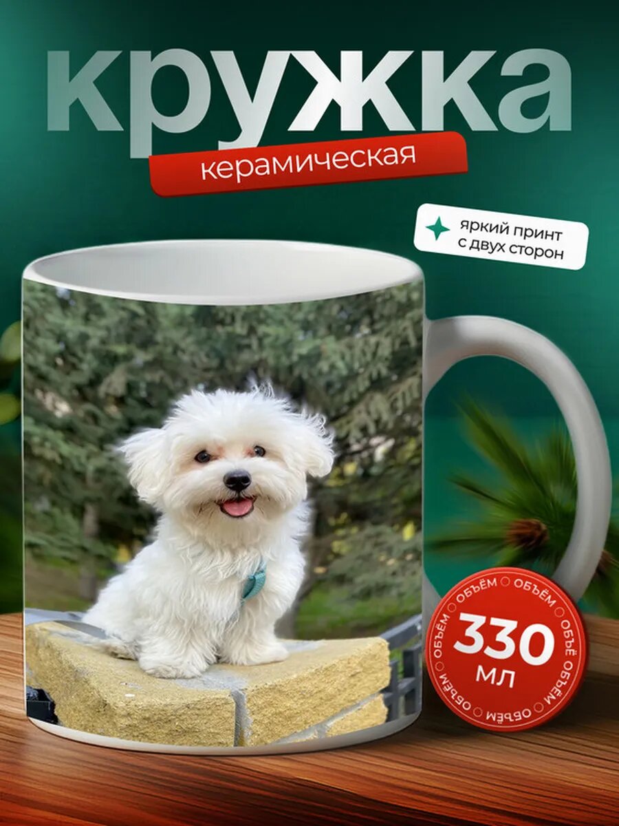 Кружка Мальтийская болонка 20,