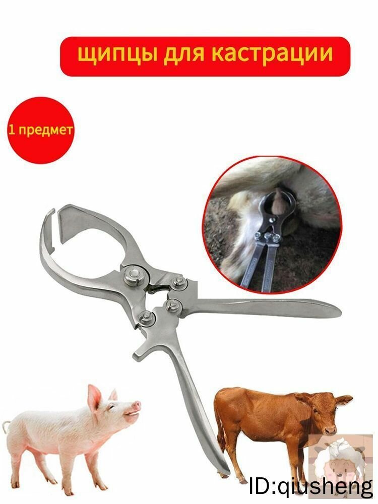 Новинка