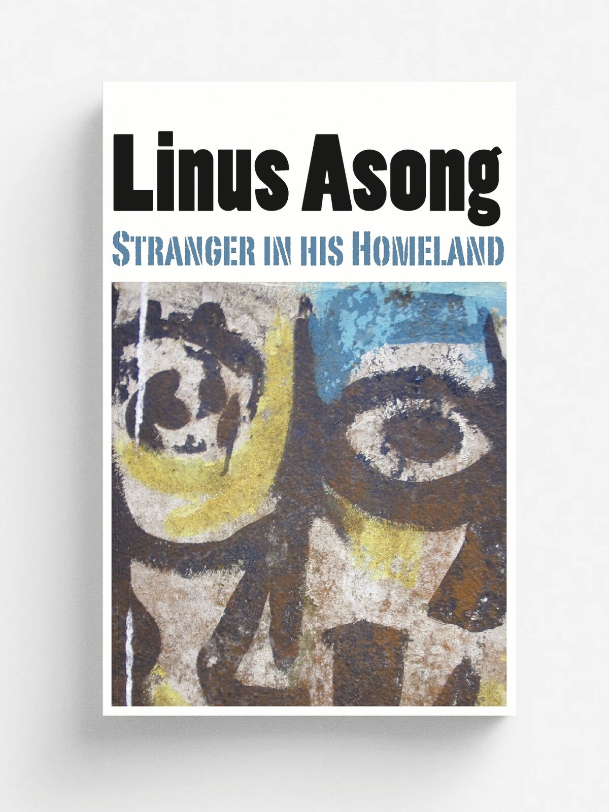 Stranger in His Homeland