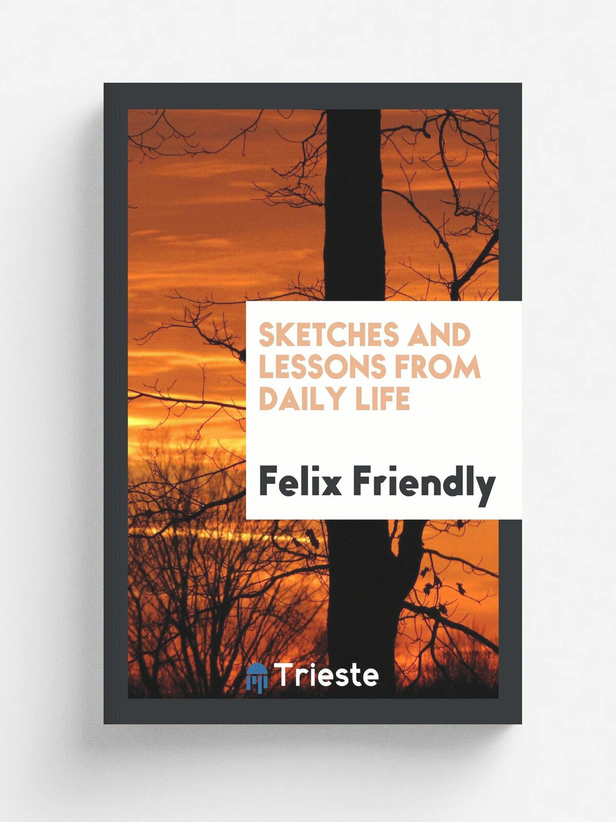Sketches and Lessons from Daily Life