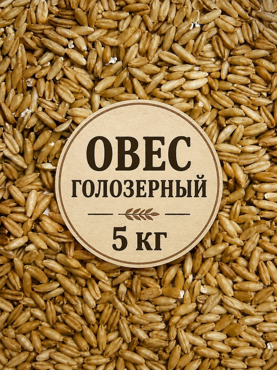 Овес (голозерный) для заваривания и проращивания, Микрозелень для проращивания, 5 кг