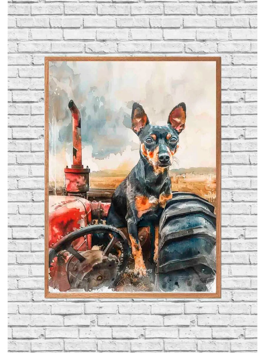 Миниатюрный пинчер Ду Фермер 1, Плакат 30x42см