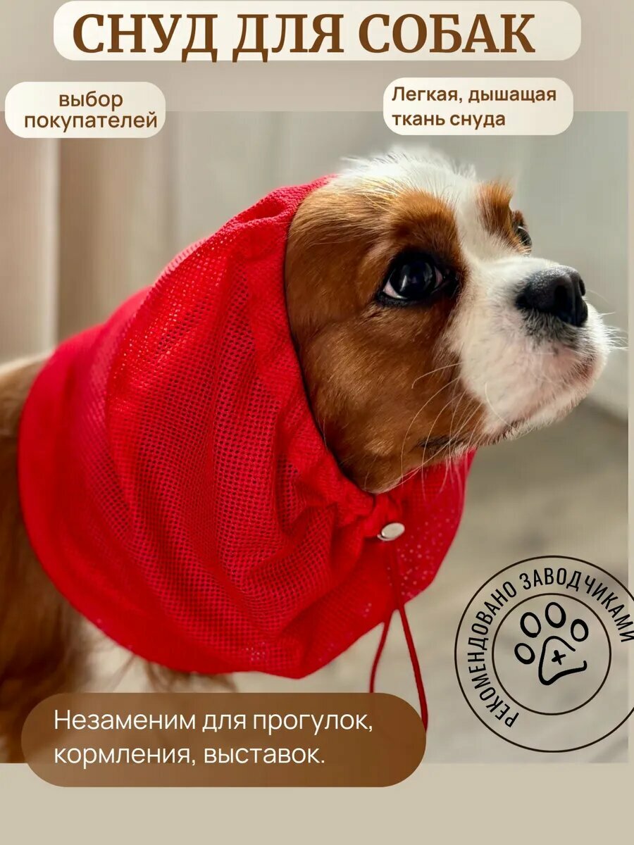 Снуд для собак шапочка спаниеля