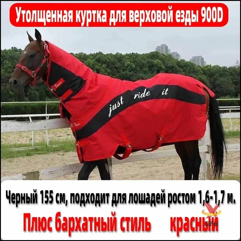 Попона для лошади-x — фото 1