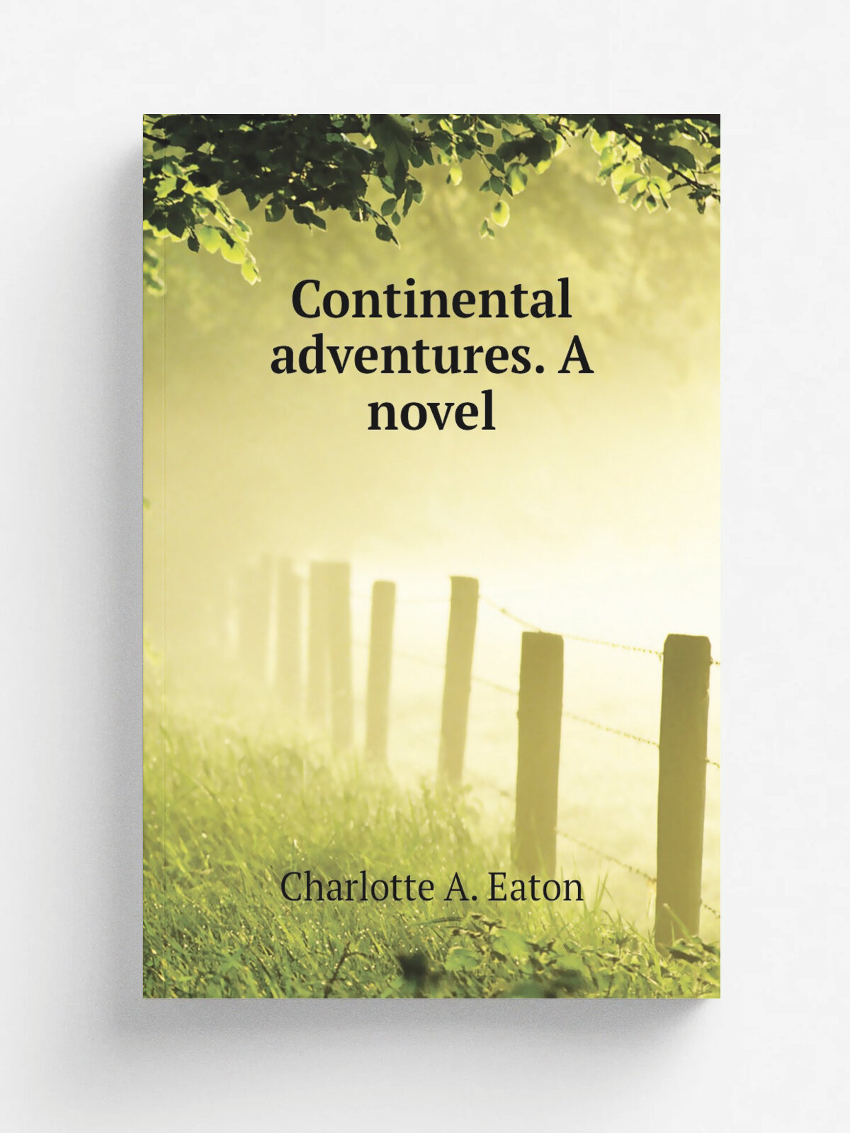 Continental adventures. A novel | Charlotte A. Eaton | Репринт
