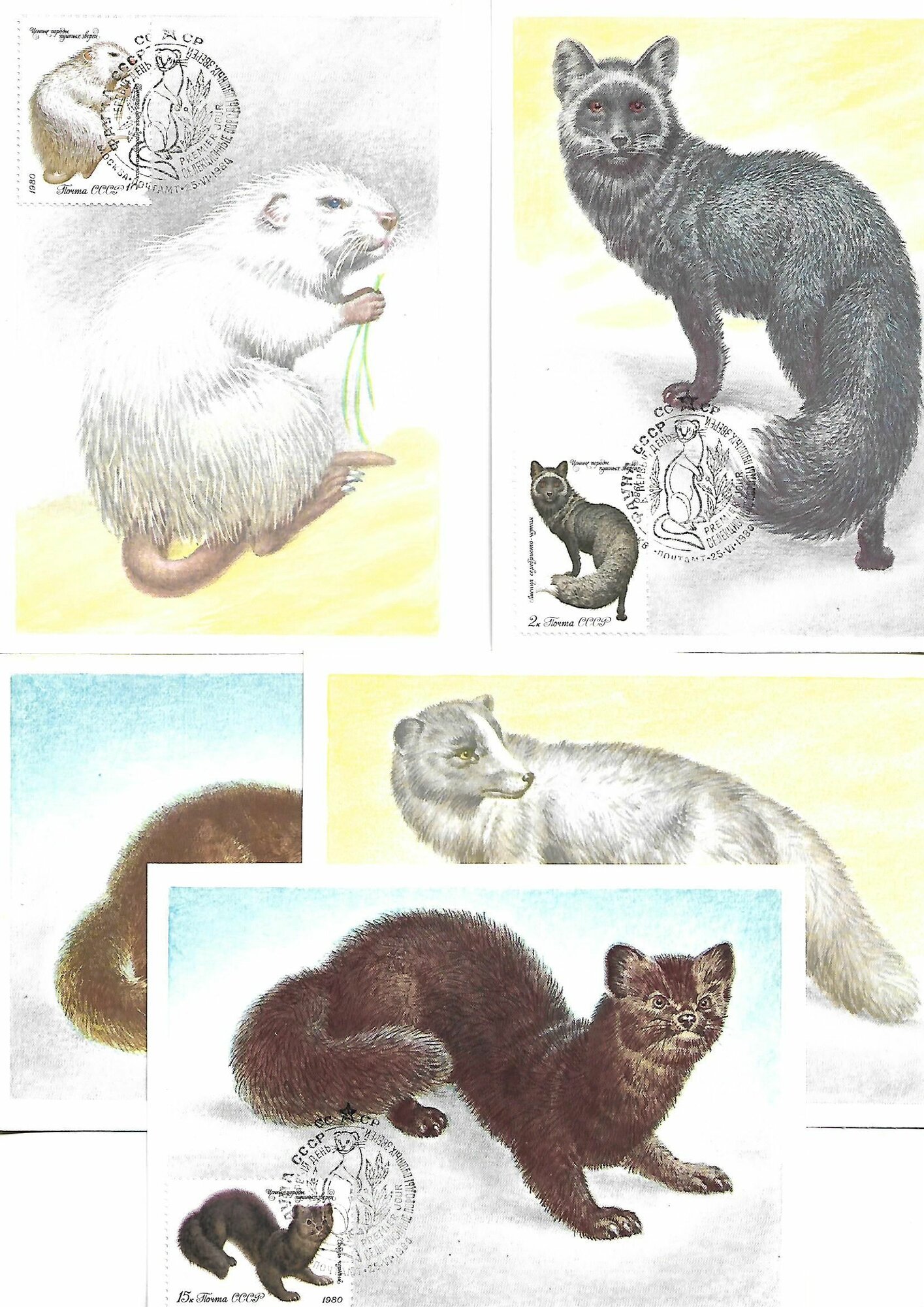 Картмаксимумы СССР 1980 года с марками. Фауна. Лесные животные. 5шт.
