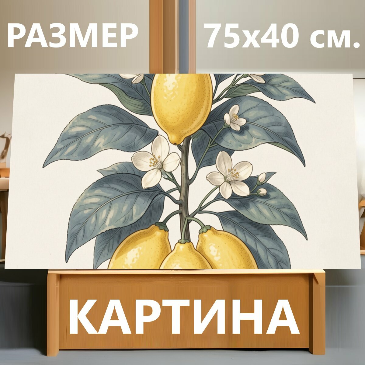 Картина на холсте "Лимонная ветвь с цветами. Ботаническая иллюстрация с сочными жёлтыми цитрусами, крупными сине-зелёными листьями и белыми." на подрамнике 75х40 см. для интерьера